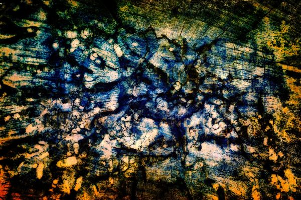 Home - ARTicipation Door County